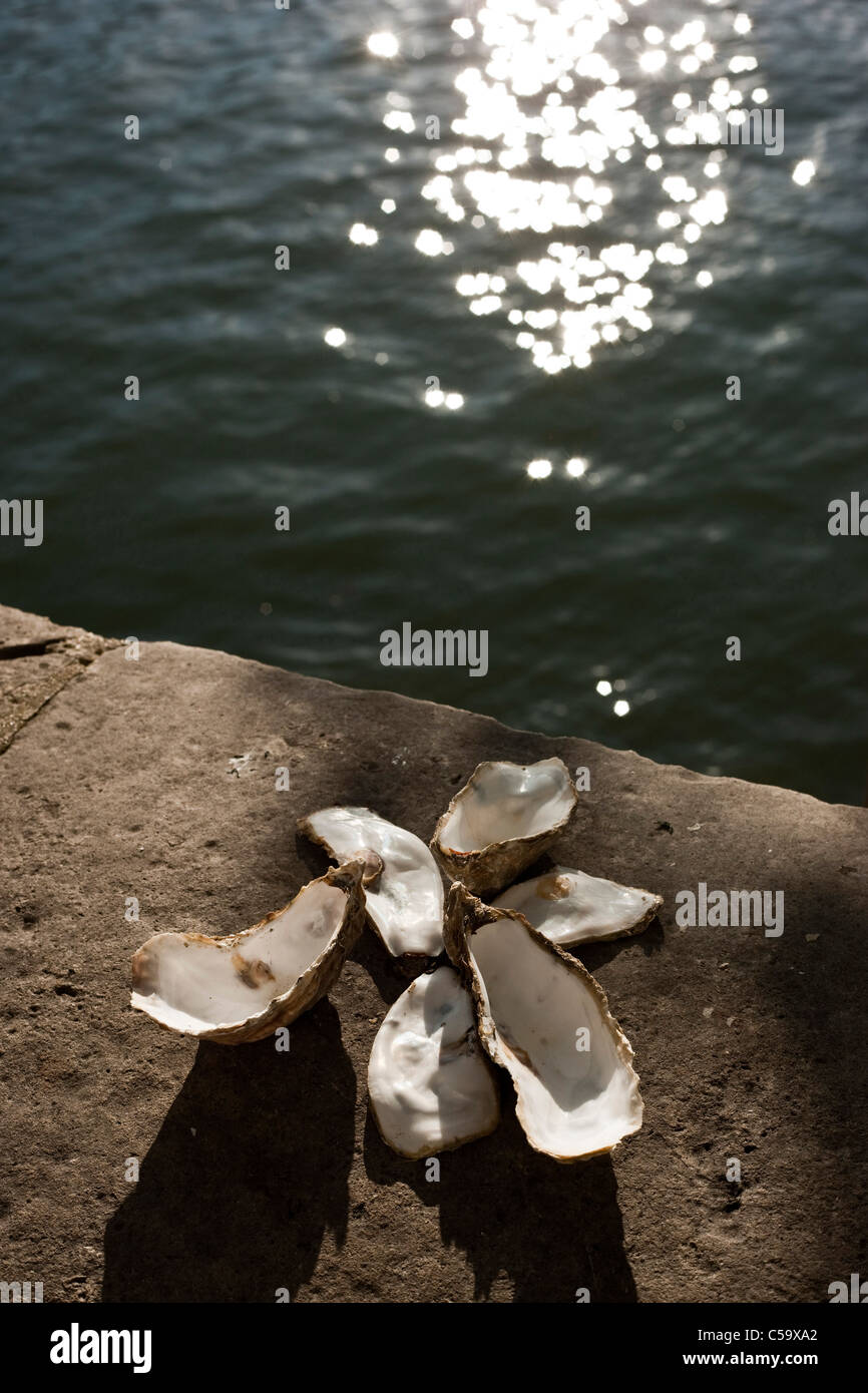 Empty oyster shells on the embankment above the Seine river. Paris ...