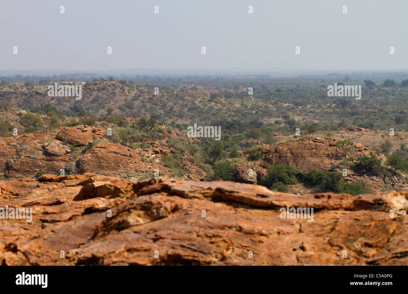 Mapungubwe National Park Stock Photo - Alamy