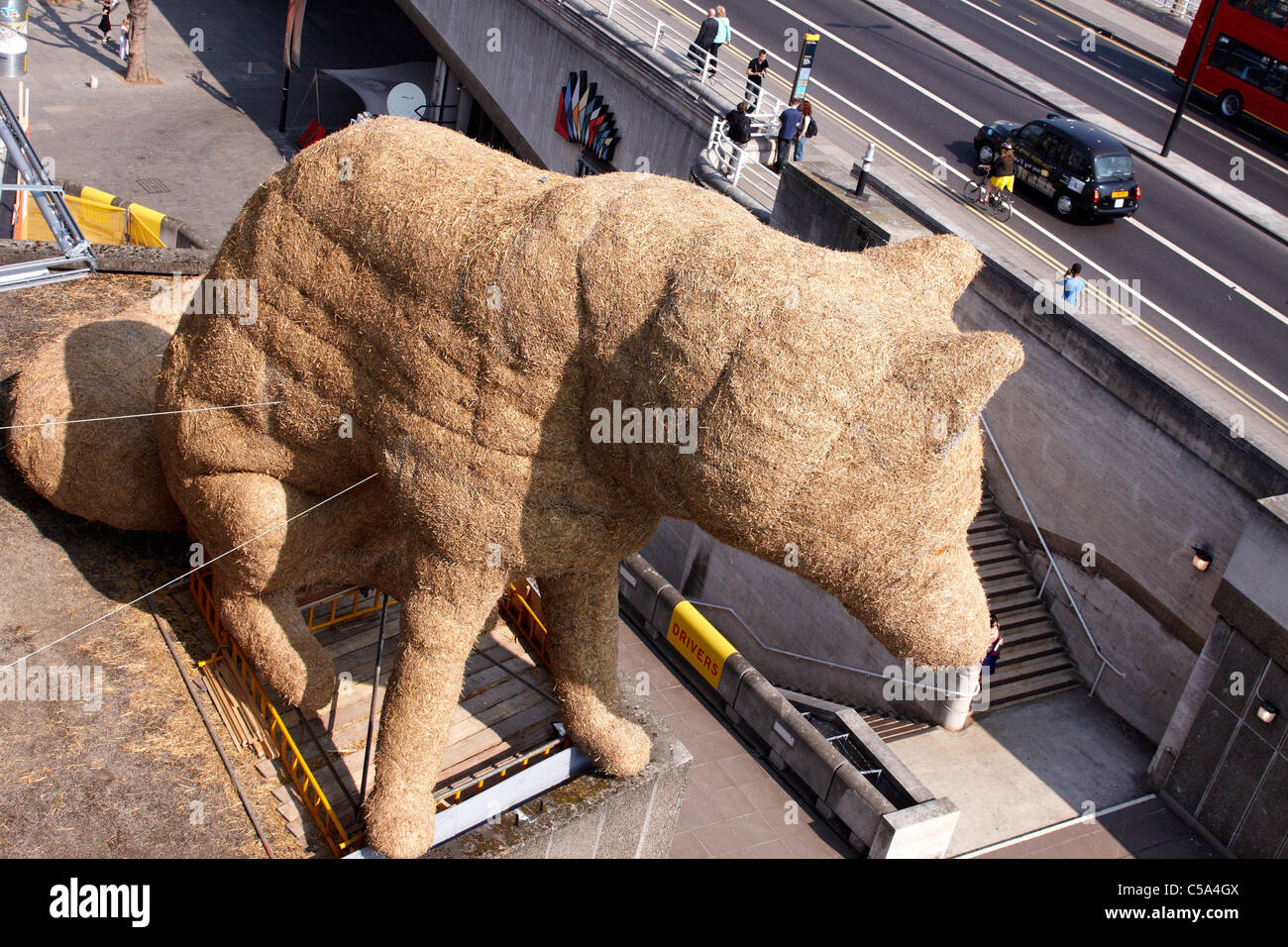 Susan the giant straw fox, part of the Festival of Britain at the south ...