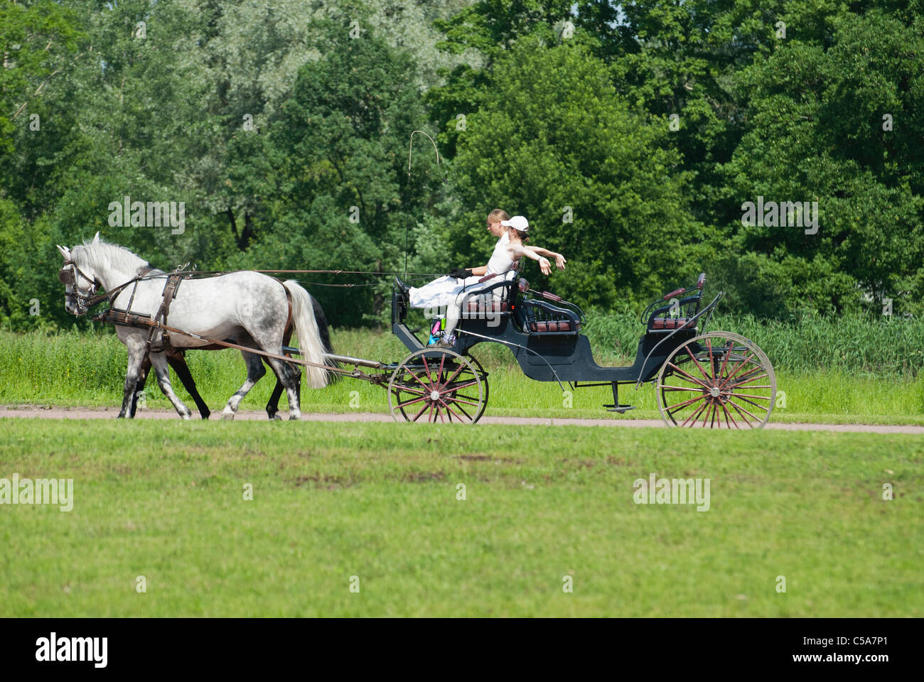 Horse carriage running hi-res stock photography and images - Alamy