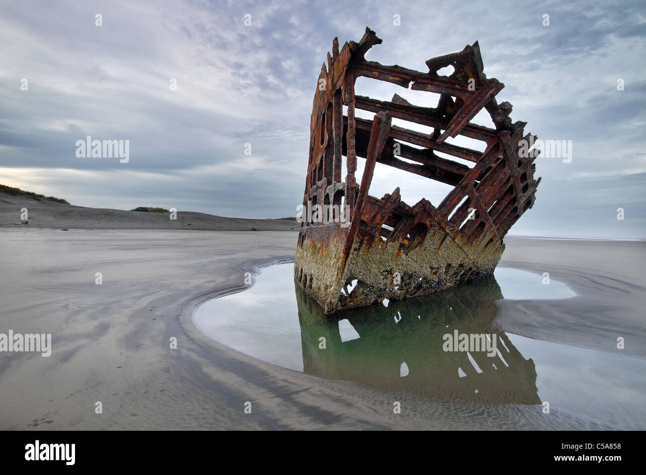 Peter Iredale during Low Tide at Dawn Stock Photo - Alamy