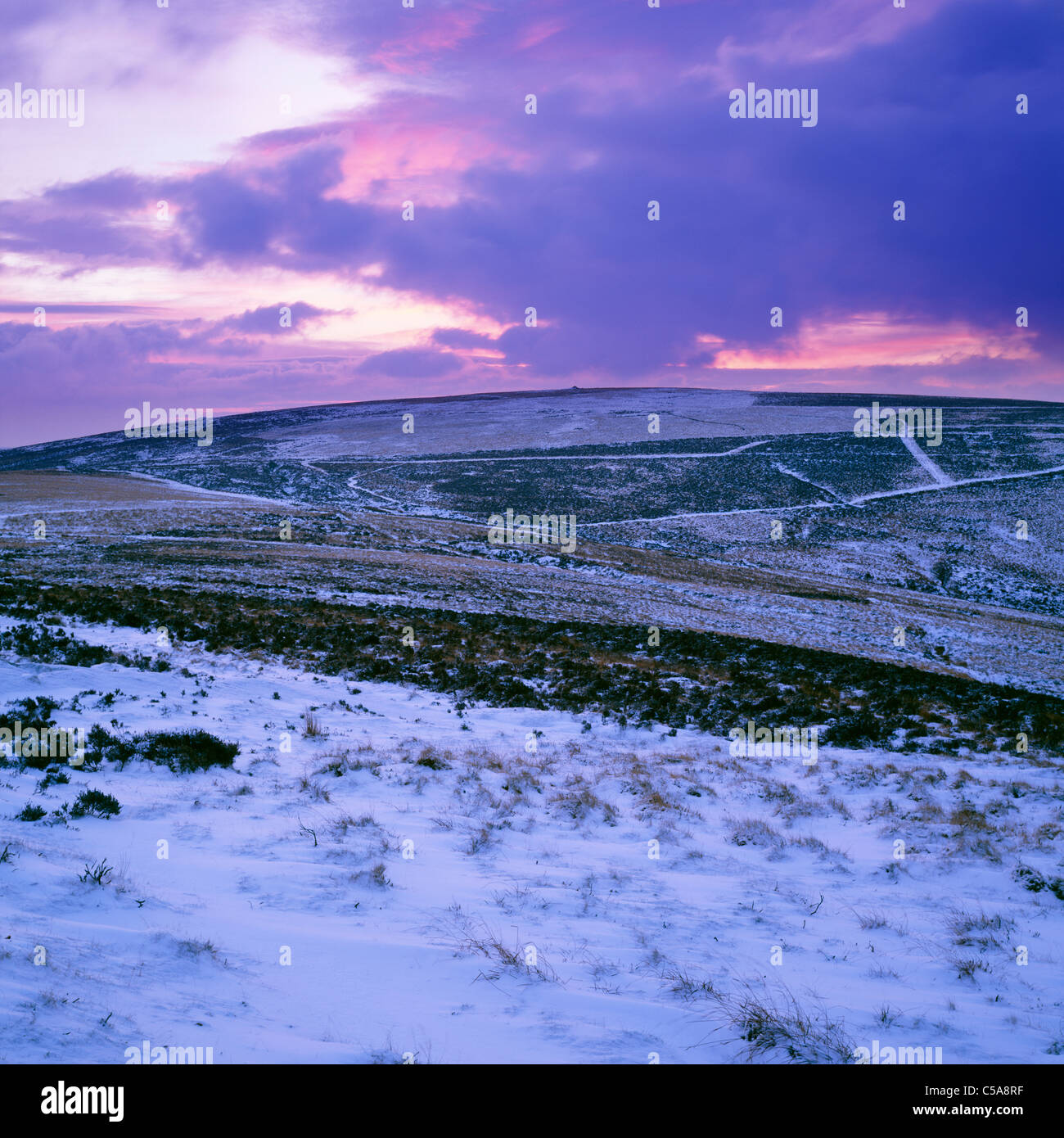 Chagford Common and Hurston Ridge blanketed in snow at dusk in Dartmoor ...