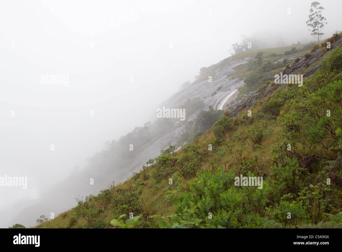 Waterfalls in the mist Stock Photo - Alamy