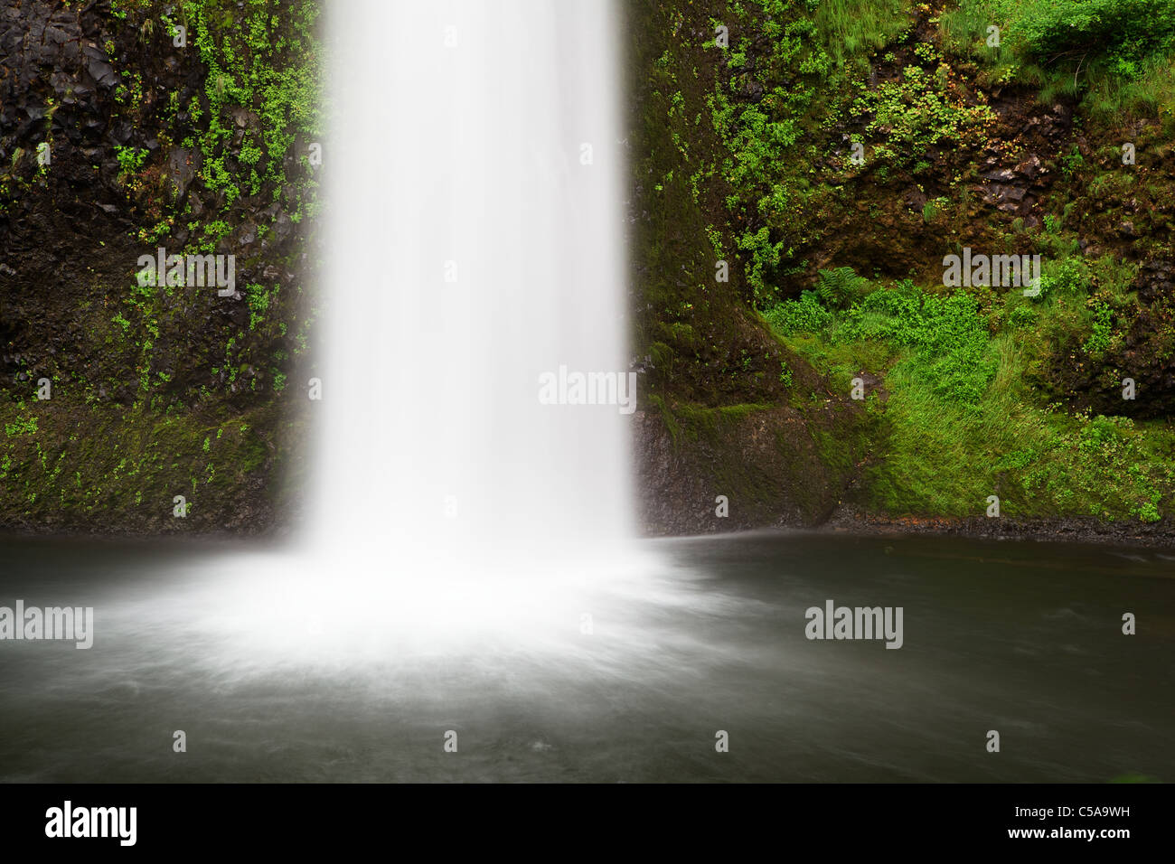 Soft white Frothy Water Falls into green Moss lagoon Stock Photo - Alamy