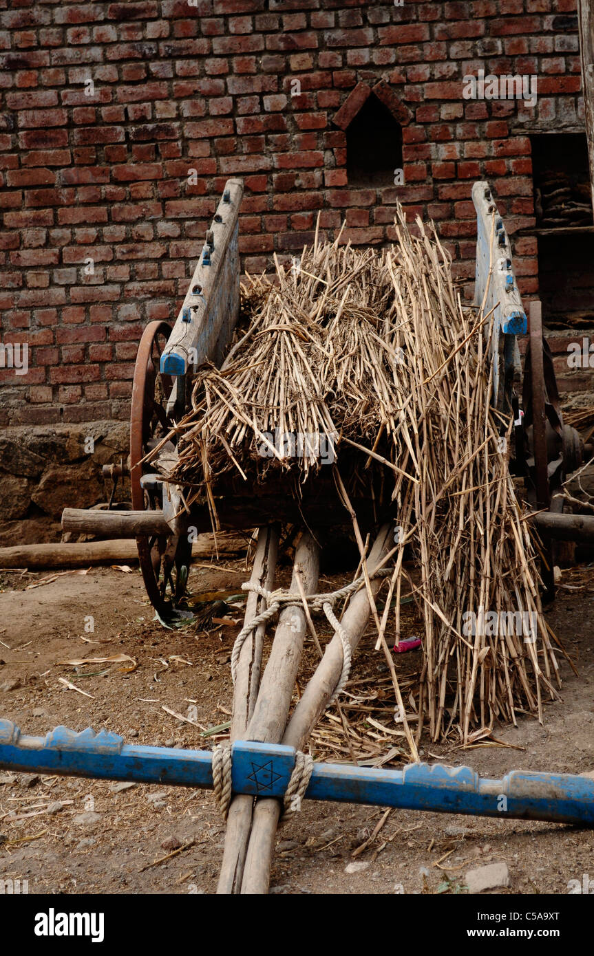 Bullock cart india hi-res stock photography and images - Alamy