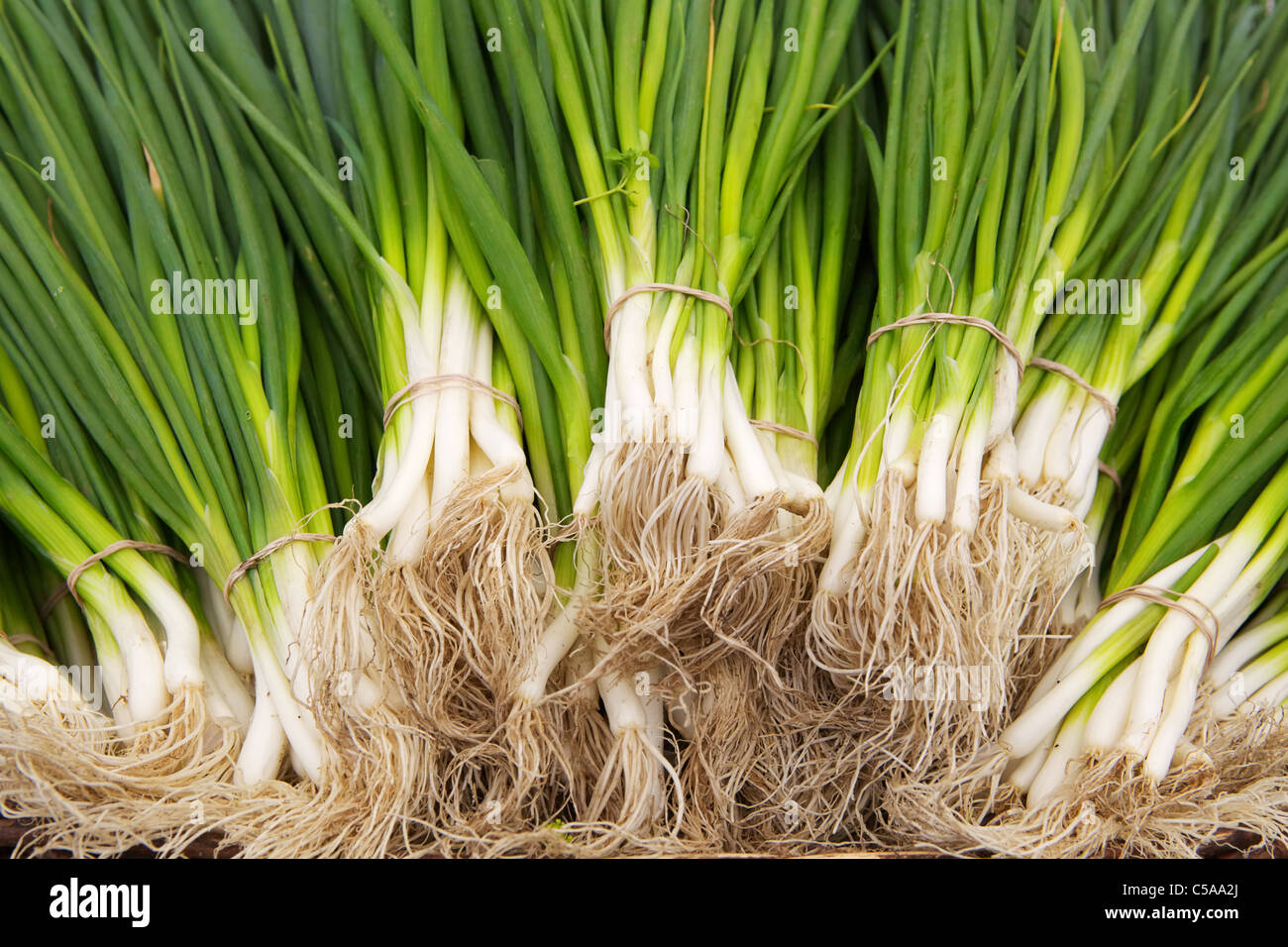 Piles of bunches of green scallions at the farmers market Stock Photo ...