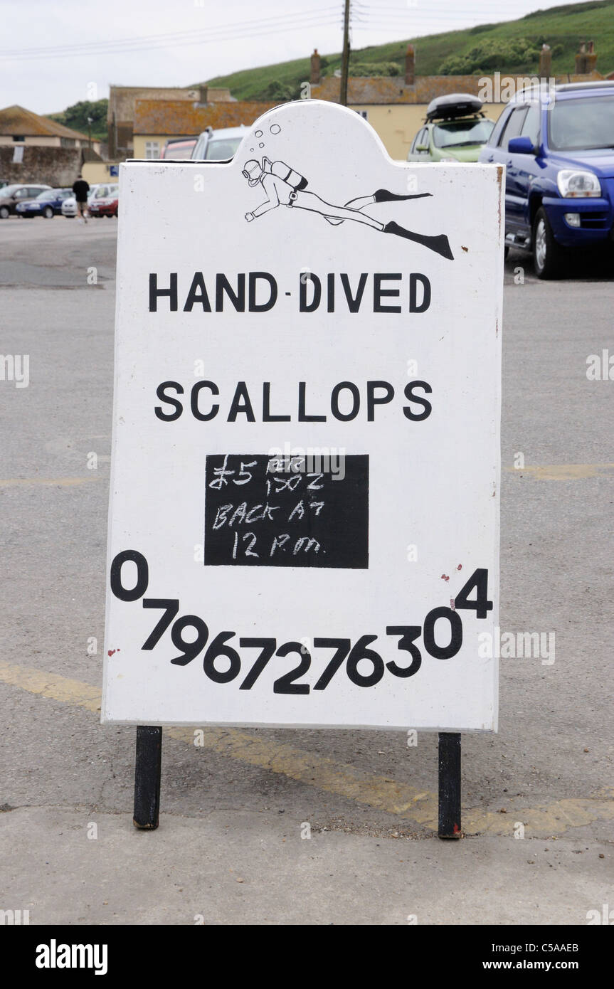 West Bay Dorset Scallops High Resolution Stock Photography and Images ...