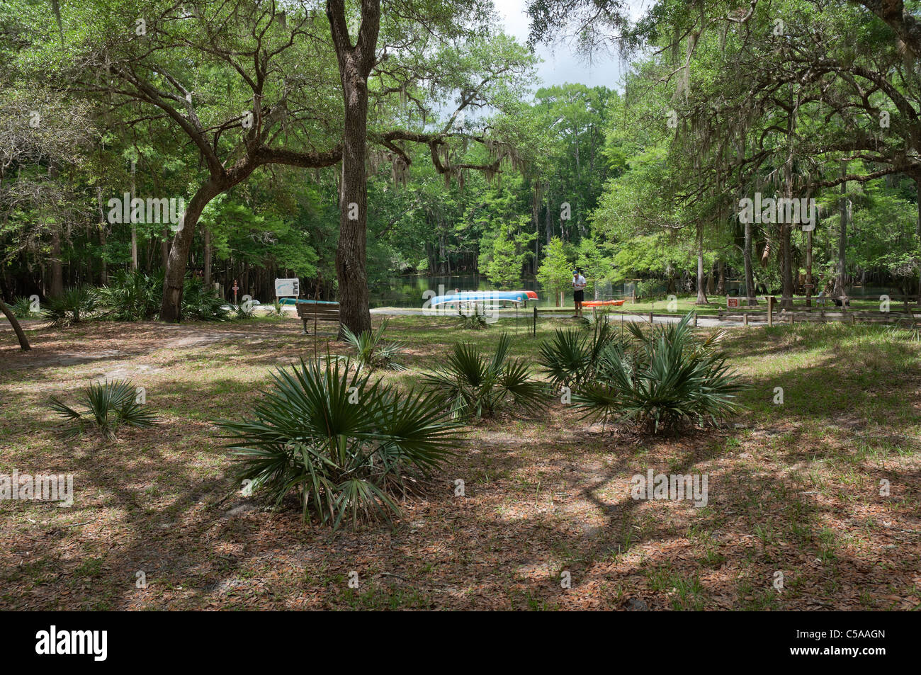Manatee Springs State Park Florida Stock Photo - Alamy