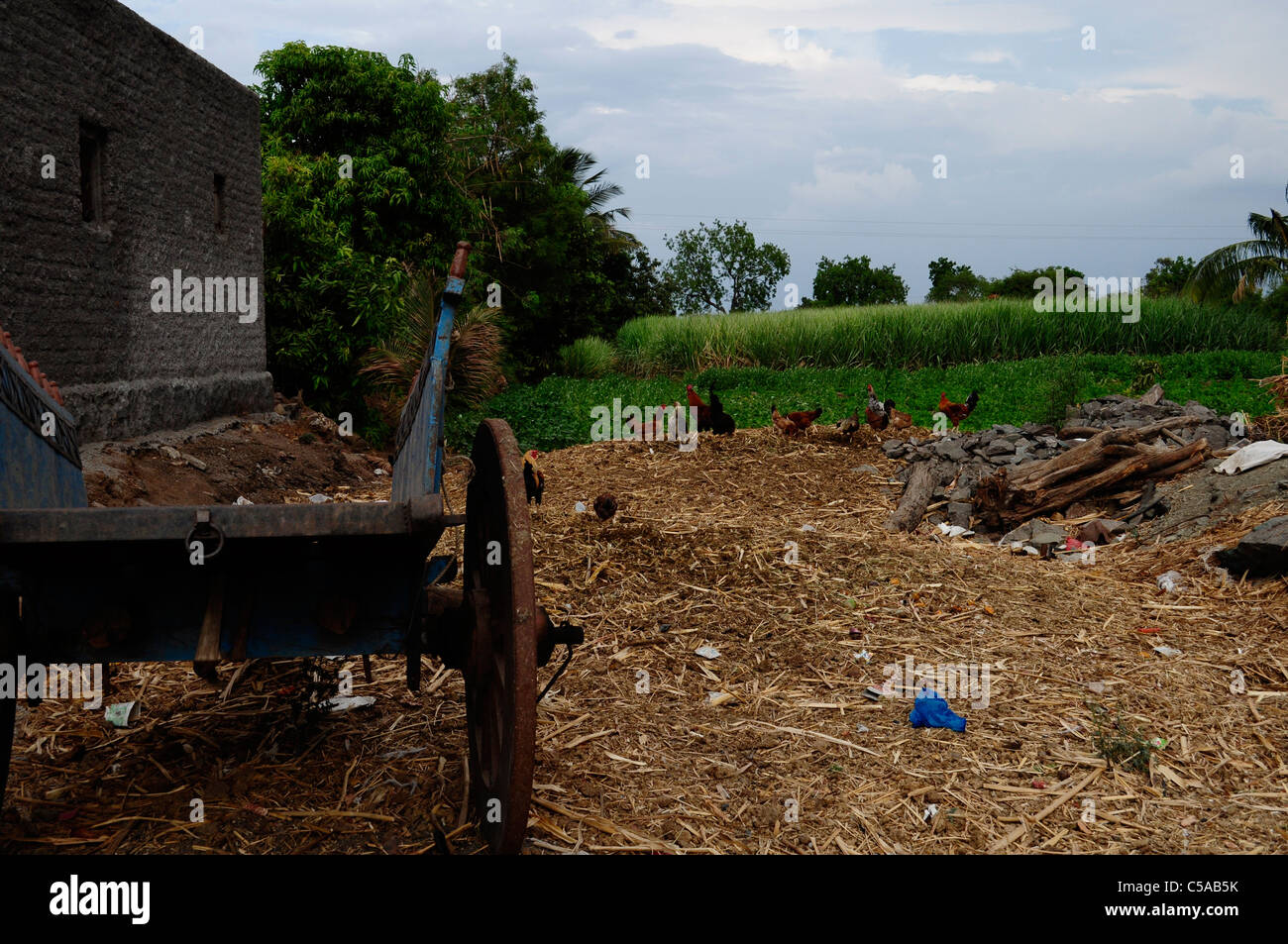 Bullock cart wheel hi-res stock photography and images - Alamy