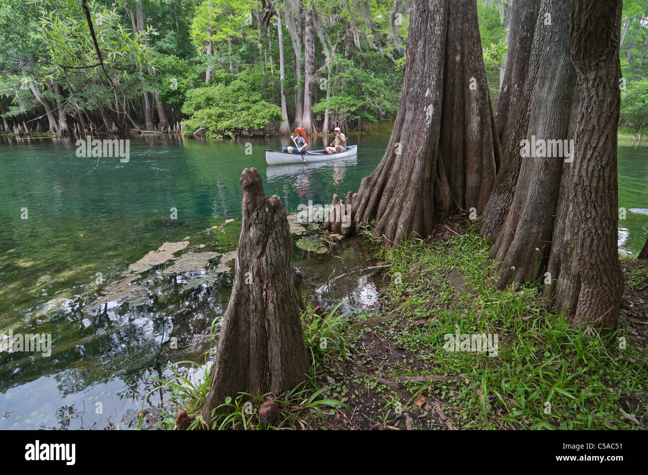 canoeing at Manatee Springs State Park Florida Stock Photo - Alamy