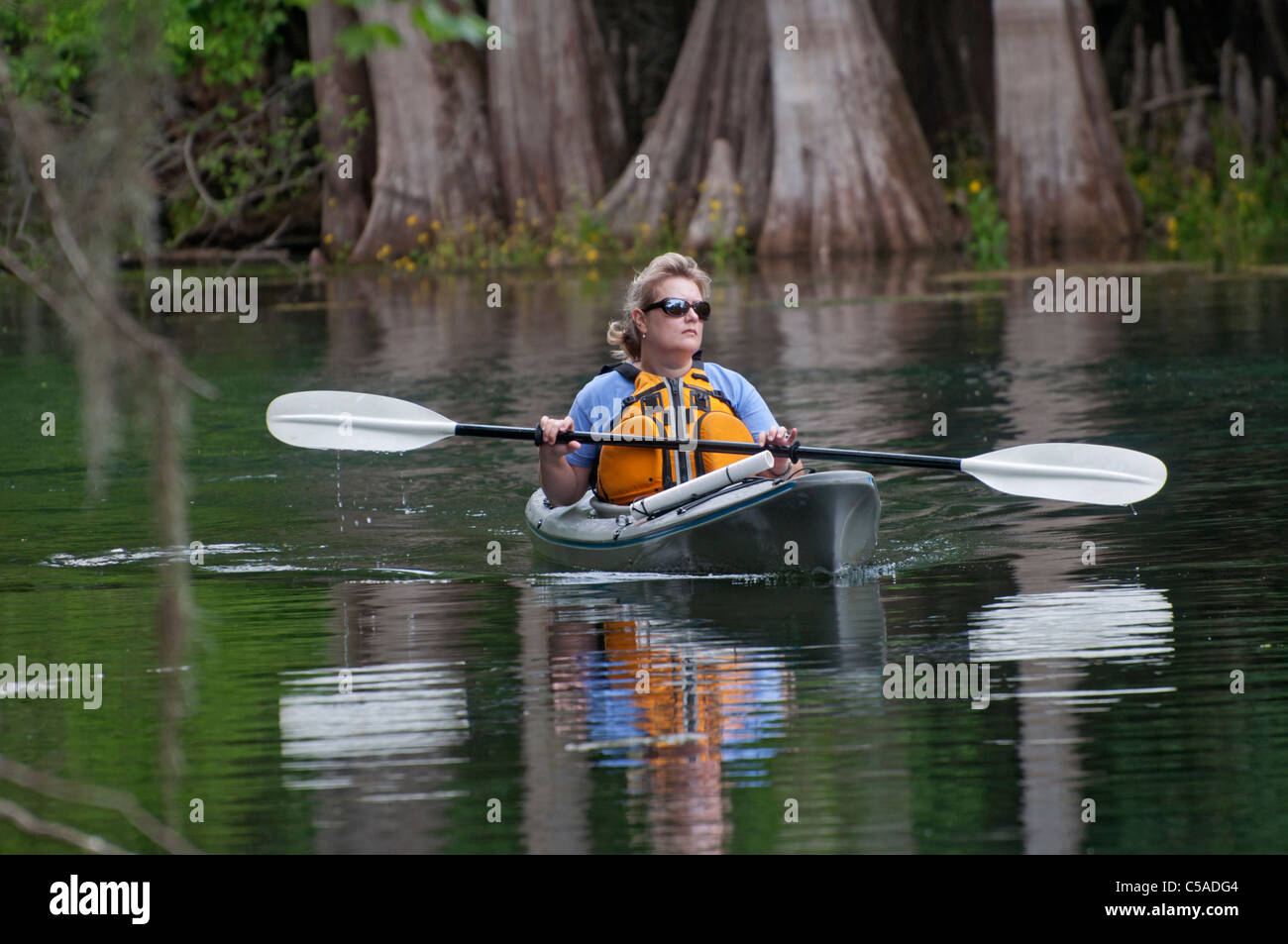 kayaking the spring run at Manatee Springs State Park in North Florida ...