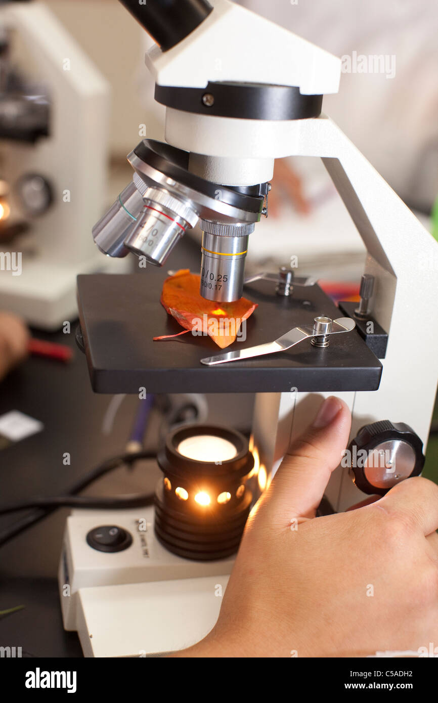 School microscope hi-res stock photography and images - Alamy