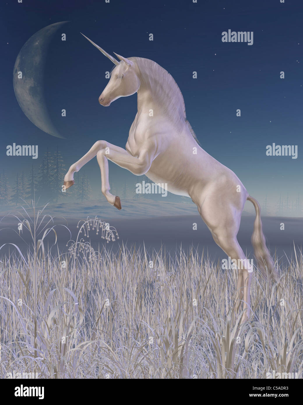 Unicorn hi-res stock photography and images - Alamy