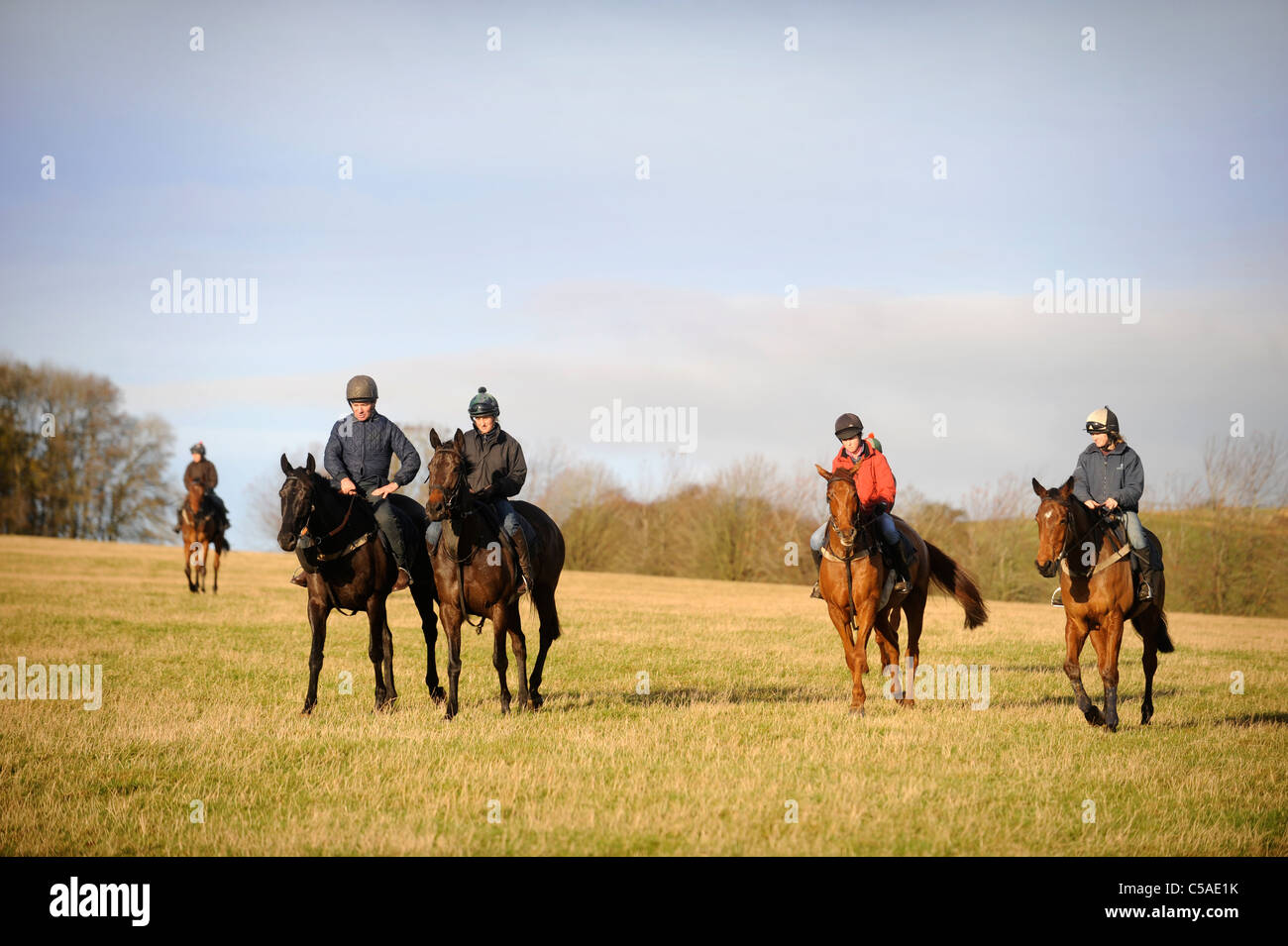 Work riders exercising racehorses at a stable in Gloucestershire UK ...