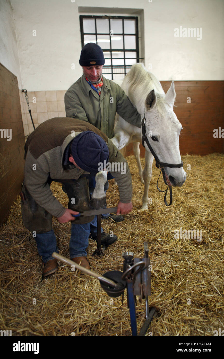 Horse care tools hi-res stock photography and images - Alamy