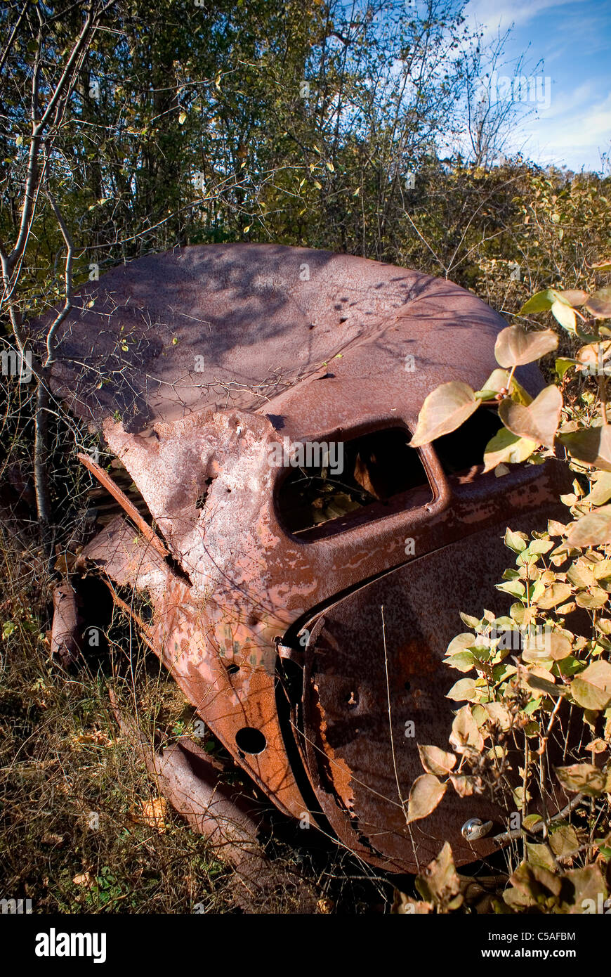 An antique, abandoned, rusted old car in the woods Stock Photo - Alamy