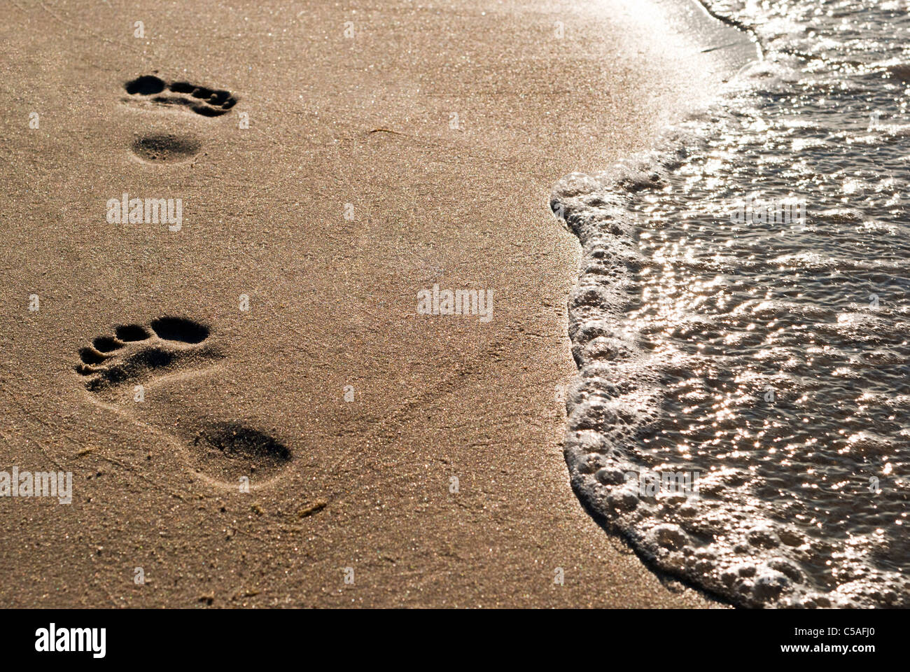 Foot-pure in the sand lead along the water Stock Photo - Alamy