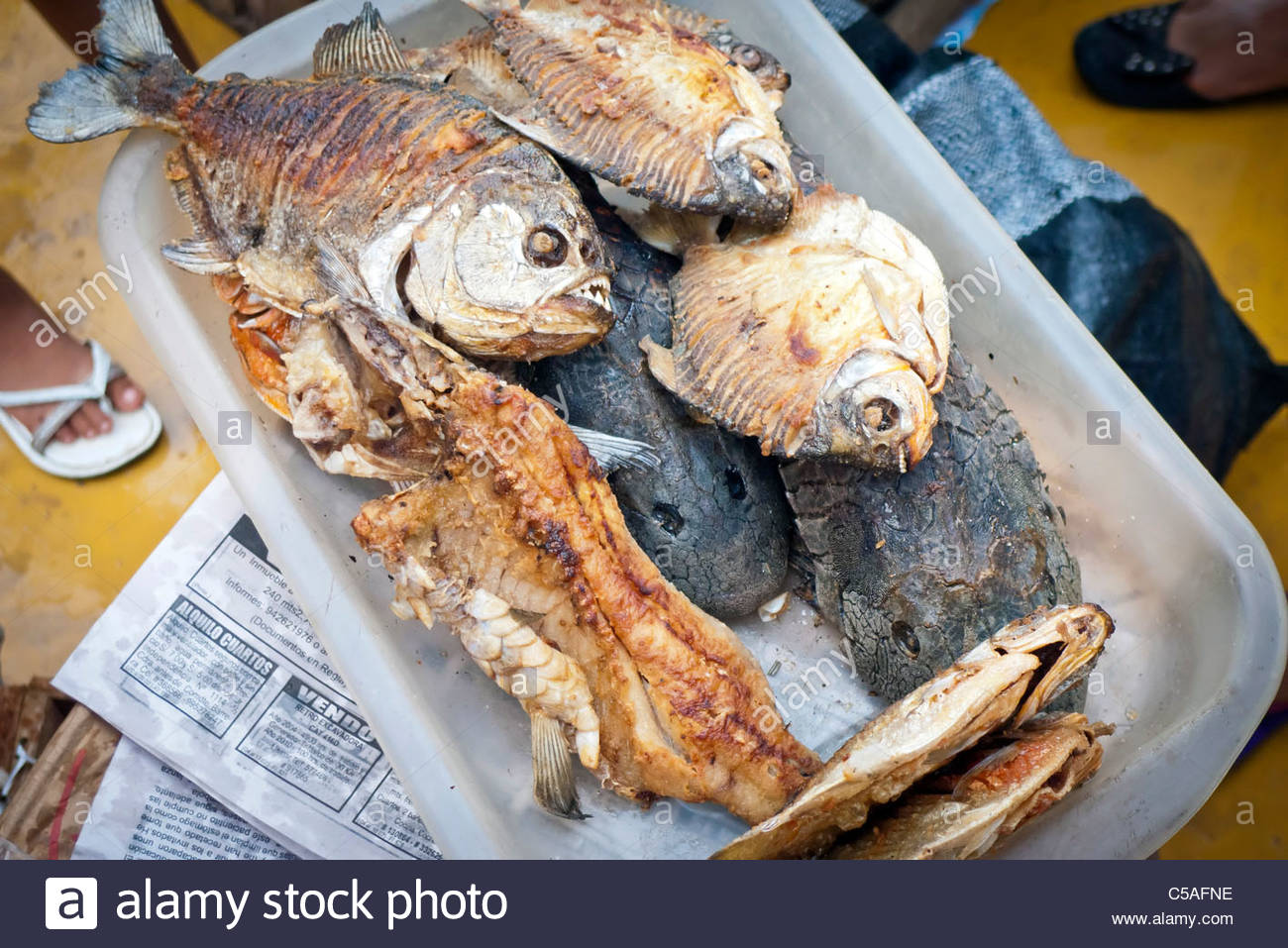 Dead Animals In A River High Resolution Stock Photography and Images ...
