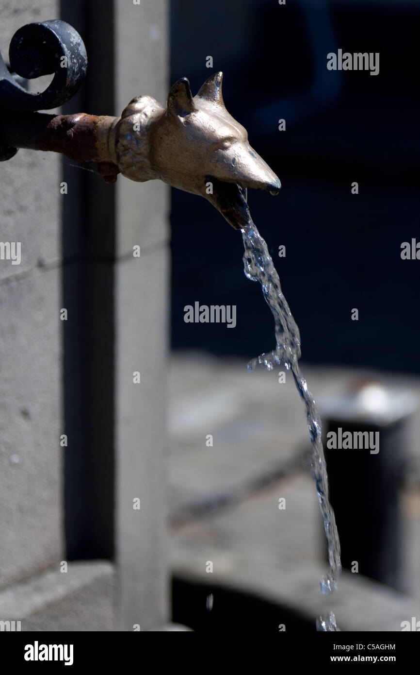 Dog head spout hi-res stock photography and images - Alamy