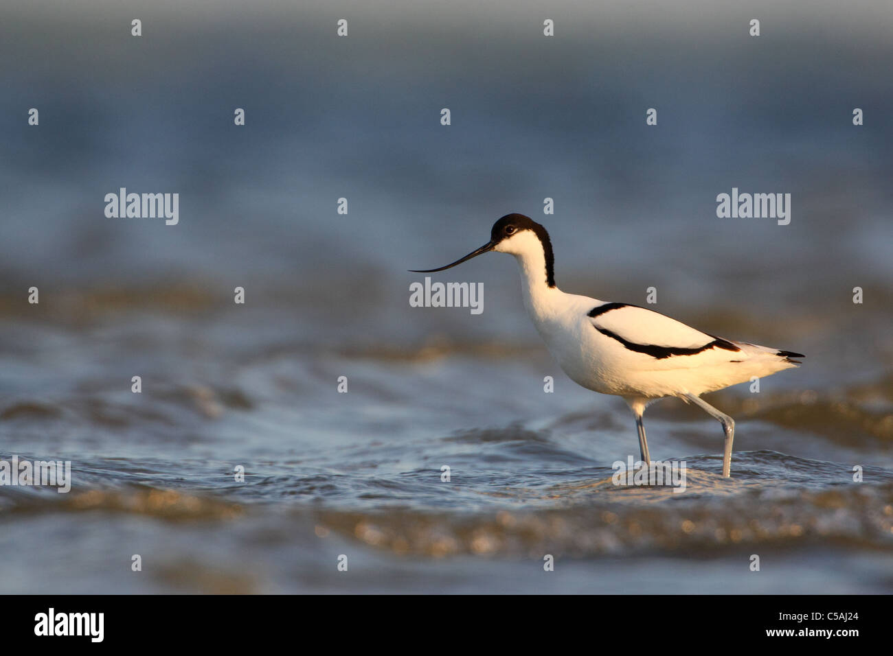 Food of europe hi-res stock photography and images - Alamy