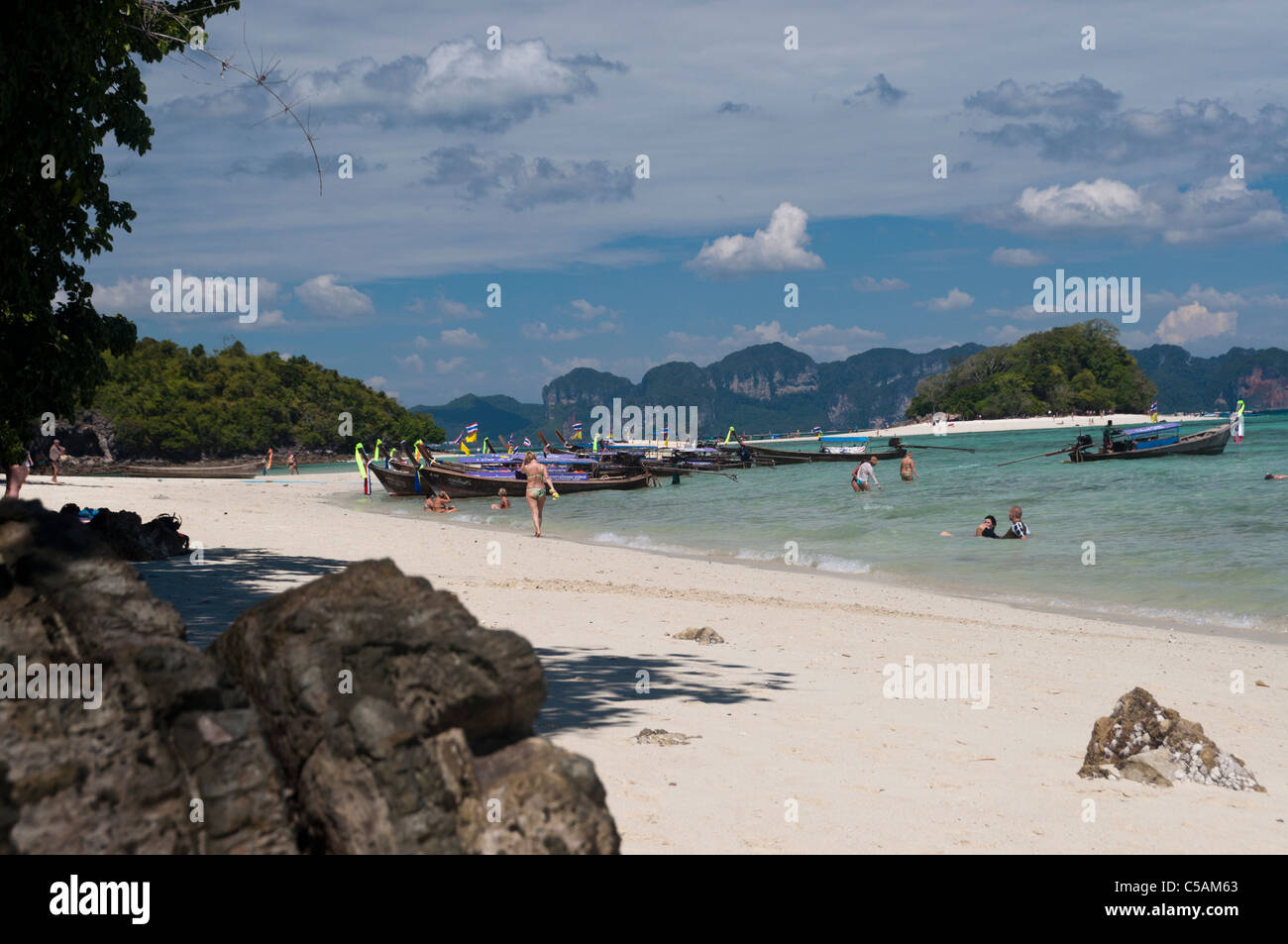 Chicken island longtails hi-res stock photography and images - Alamy