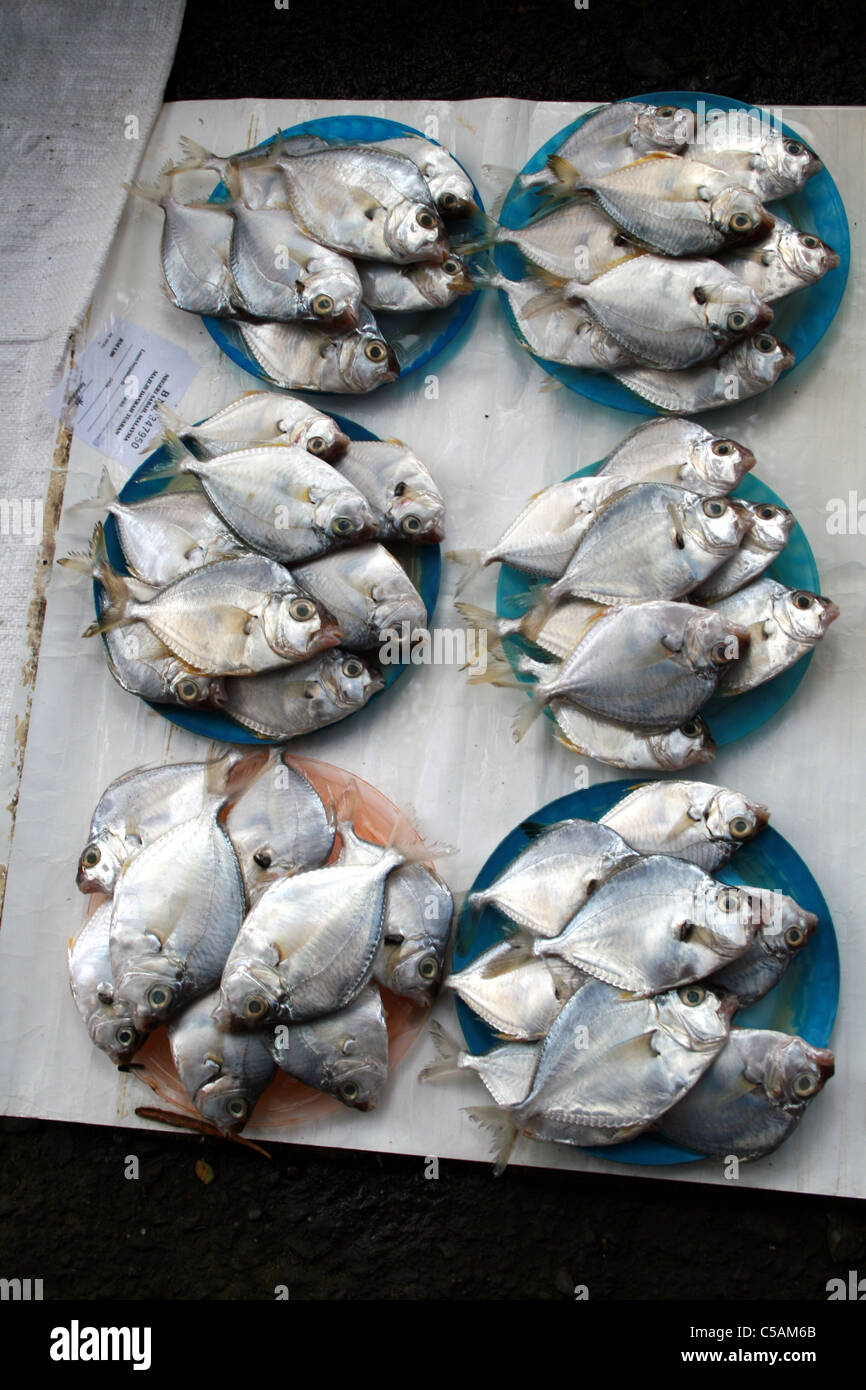 Tuaran Sabah Borneo East Malaysia Stock Photo - Alamy