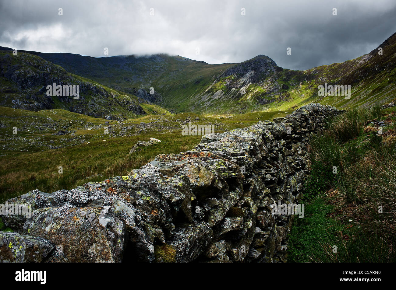 Welsh gathering hi-res stock photography and images - Alamy
