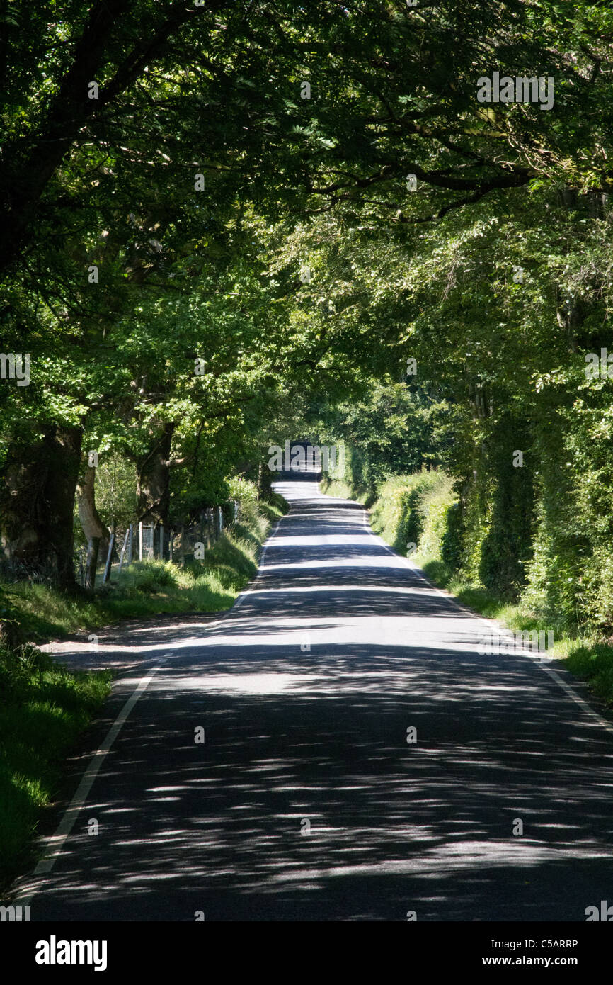 Sarn Helen Roman Road Stock Photo - Alamy