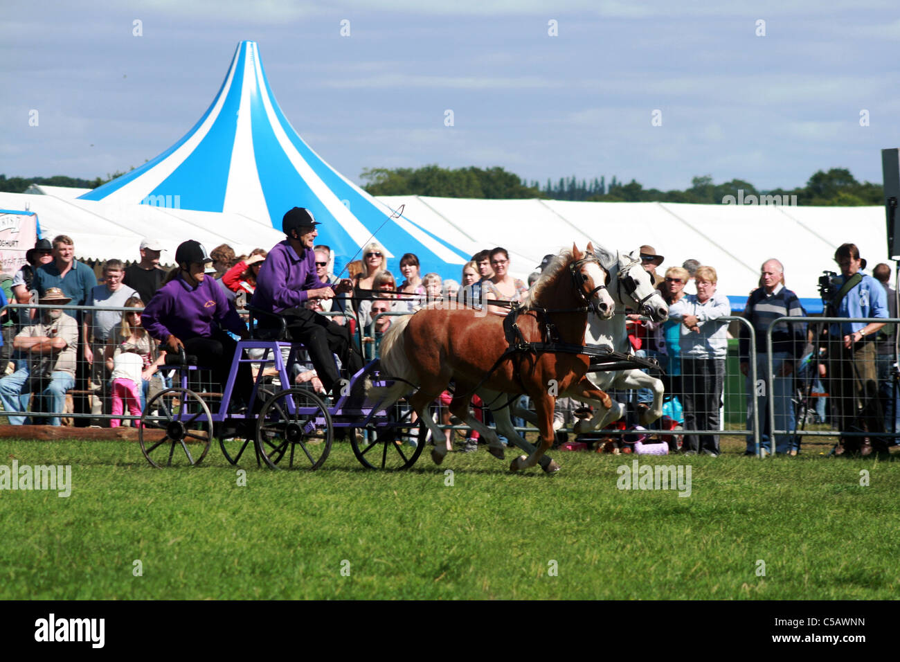Scurry racing at Cheshire game and country show at Cheshire Show Ground ...
