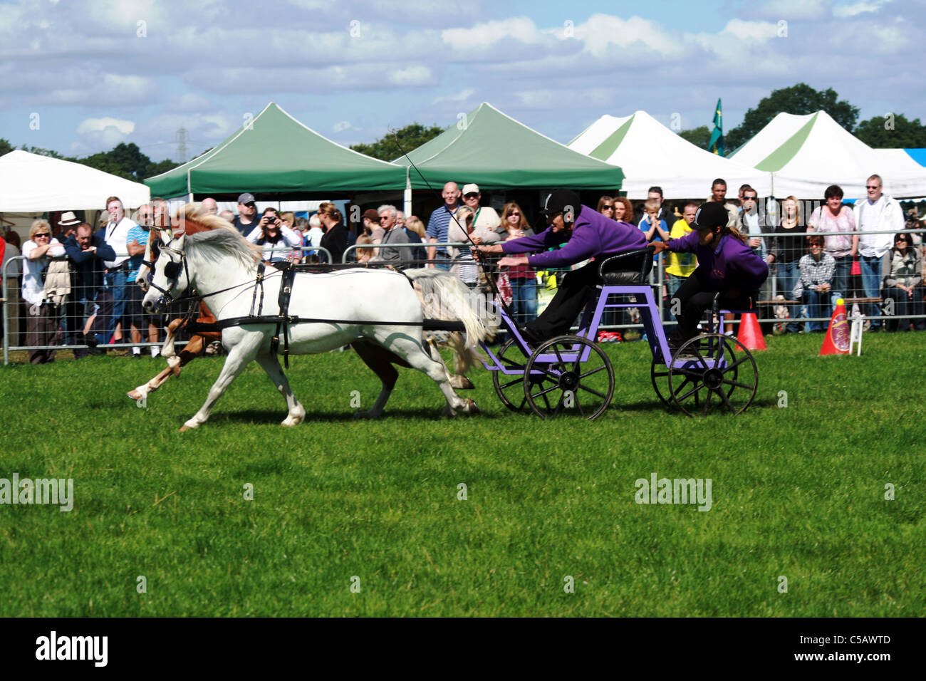 Tabley cheshire show hi-res stock photography and images - Alamy