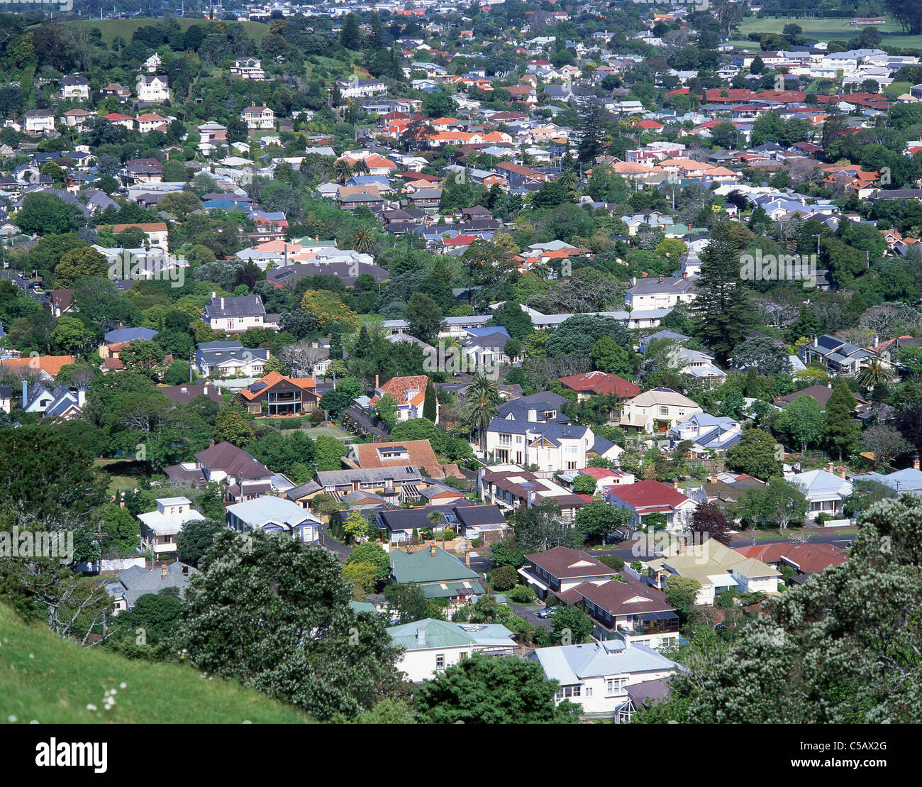 Epsom suburb from Mt Eden Summit (Maungawhau), Auckland, Auckland ...