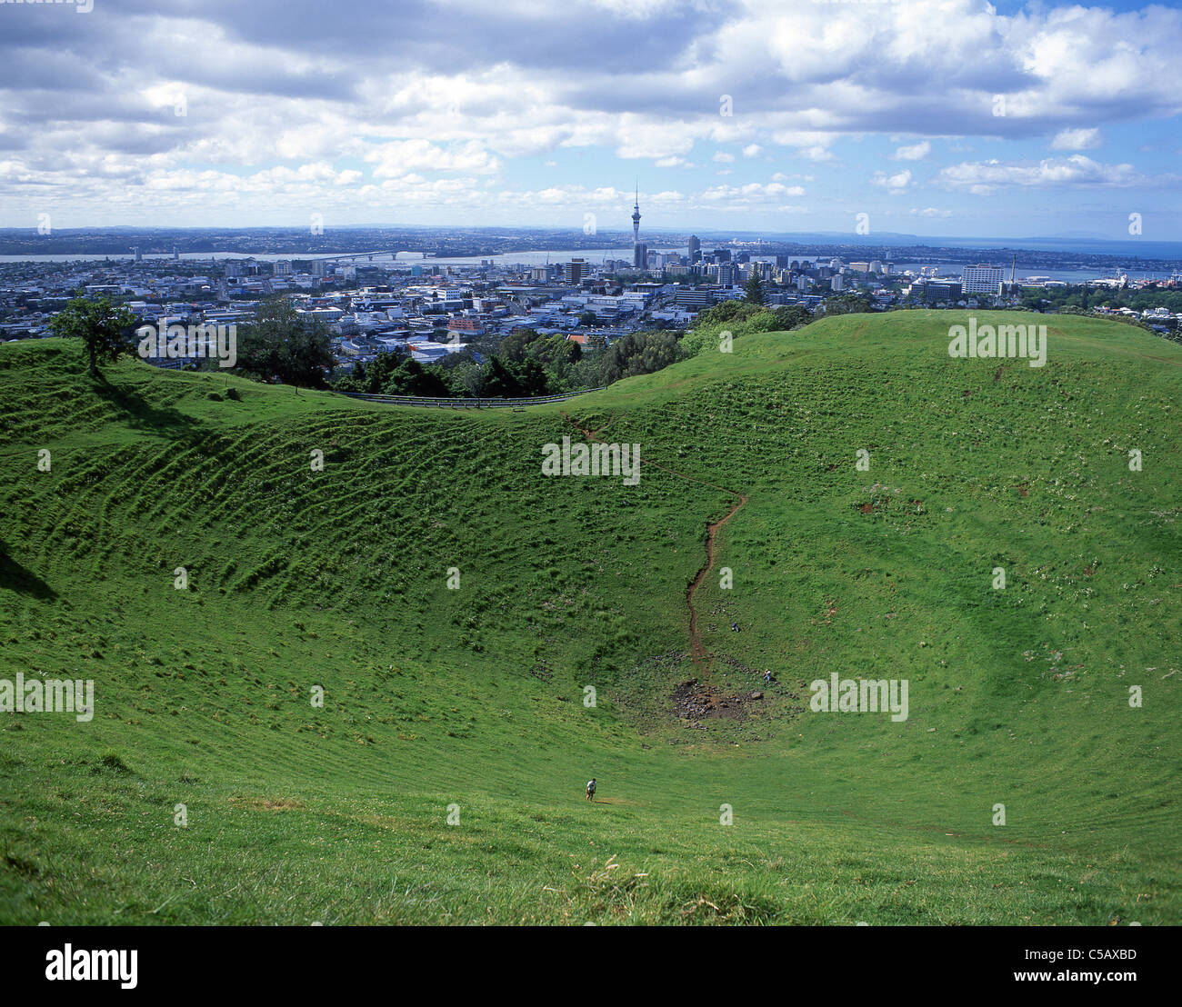 Mt eden crater auckland hi-res stock photography and images - Alamy