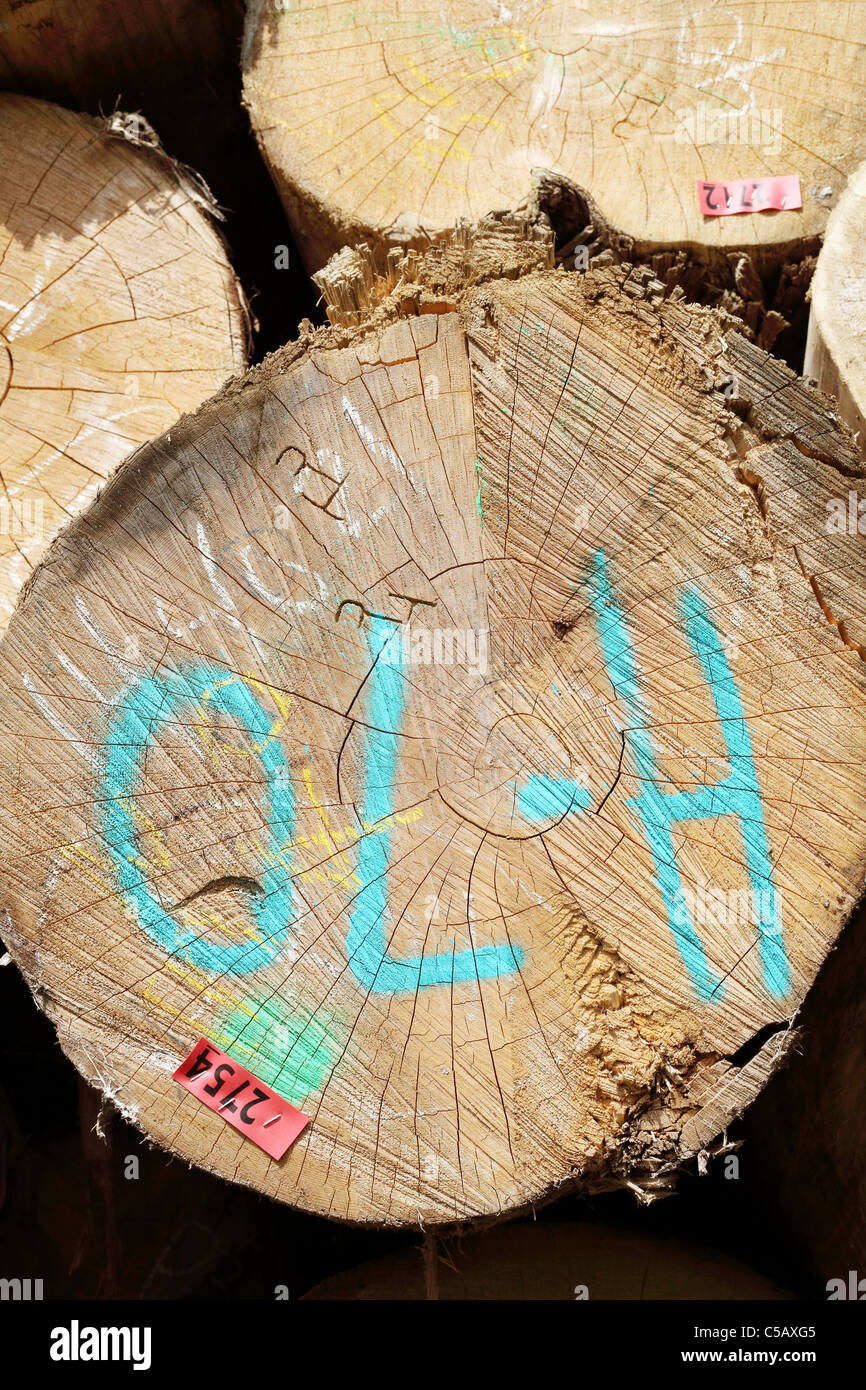 Stacked tree-ring background texture Stock Photo - Alamy