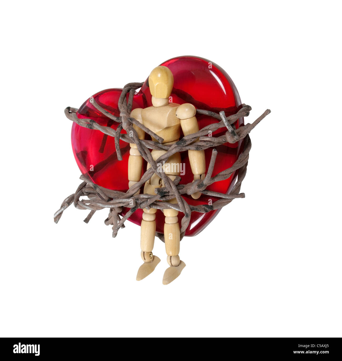 Trapped by love shown by a model trapped on a red glass heart by barbed ...