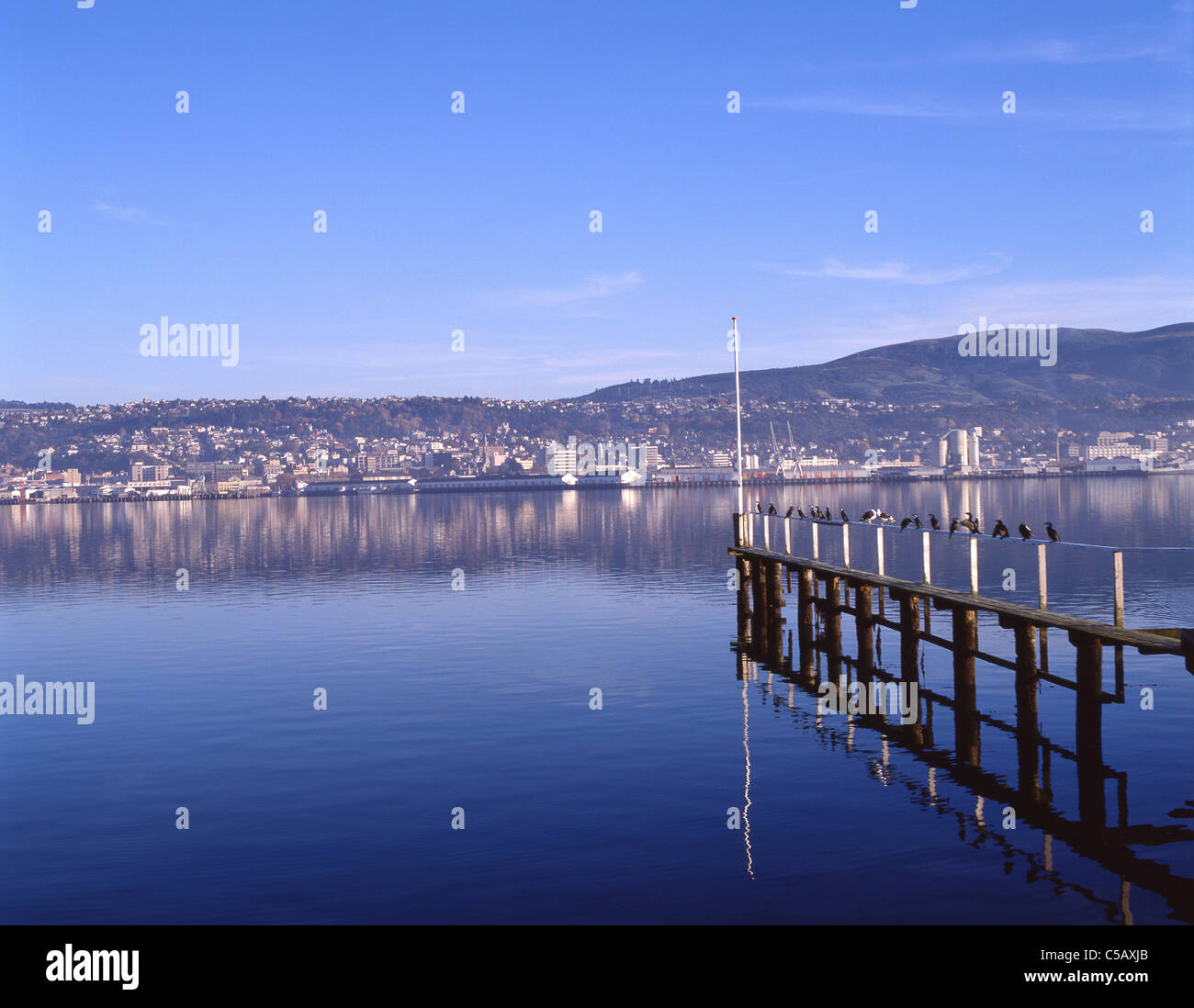 City view from Otago Harbour, Dunedin, Otago Region, South Island, New ...