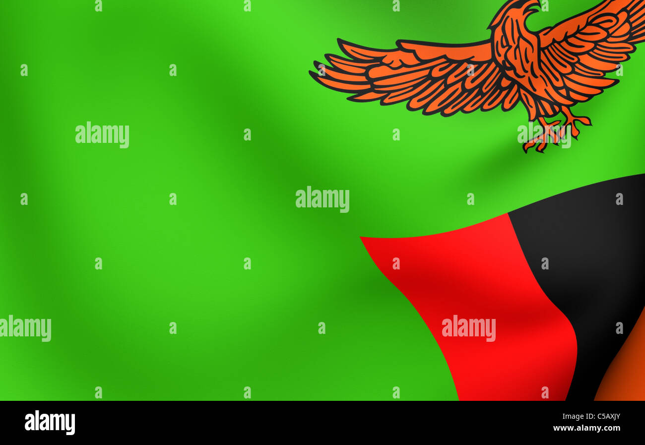Zambia Flag Bird