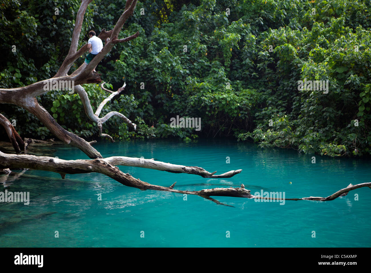Efate island lagoon hi-res stock photography and images - Alamy