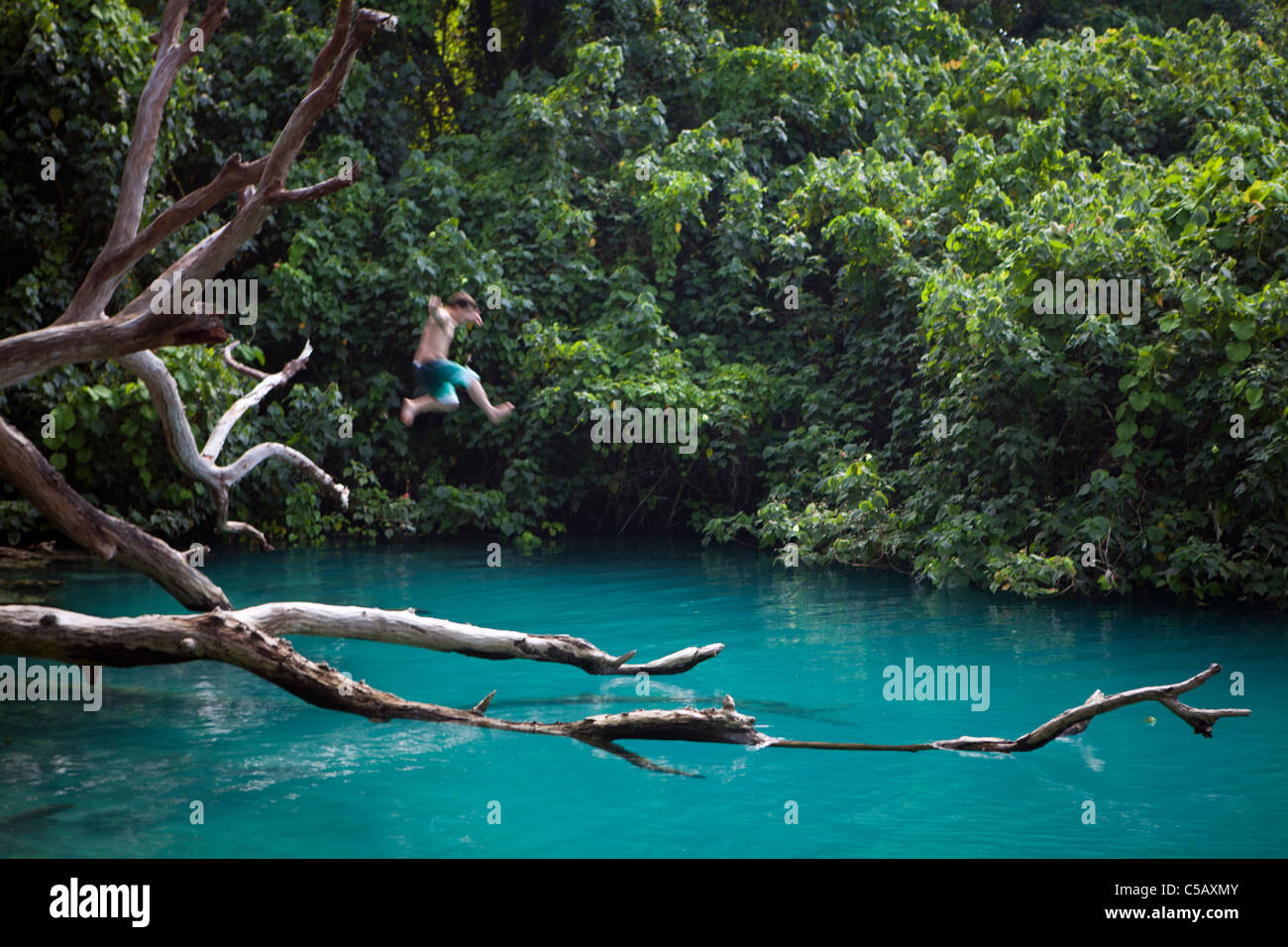 Blue Lagoon, Efate, Vanuatu Stock Photo - Alamy