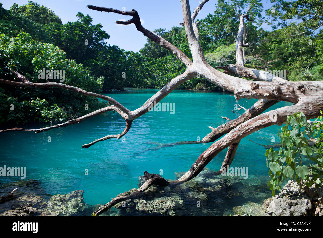 Efate island lagoon hi-res stock photography and images - Alamy