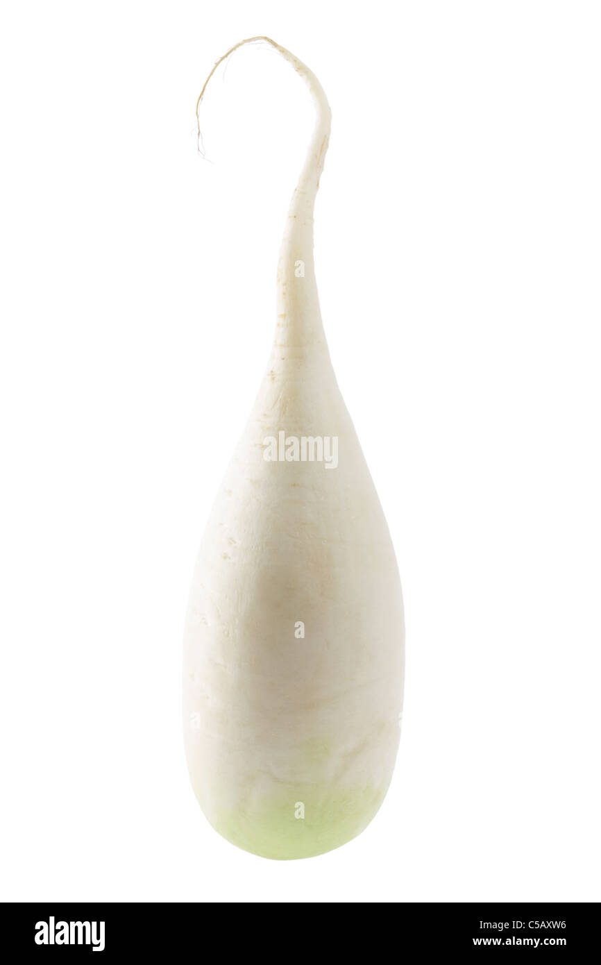 Oriental radish Cut Out Stock Images & Pictures - Alamy