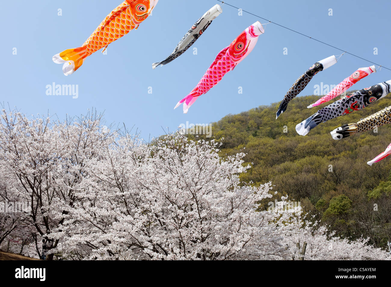 Carp kites hi-res stock photography and images - Alamy