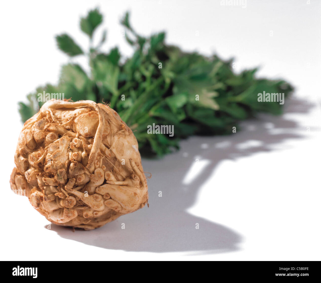 Celeriacstill hi-res stock photography and images - Alamy