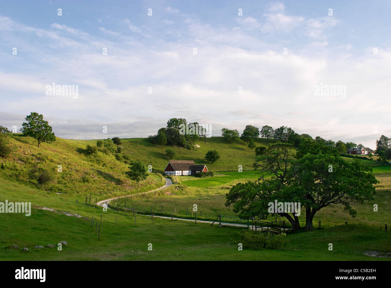 Country road summer side view hi-res stock photography and images - Alamy