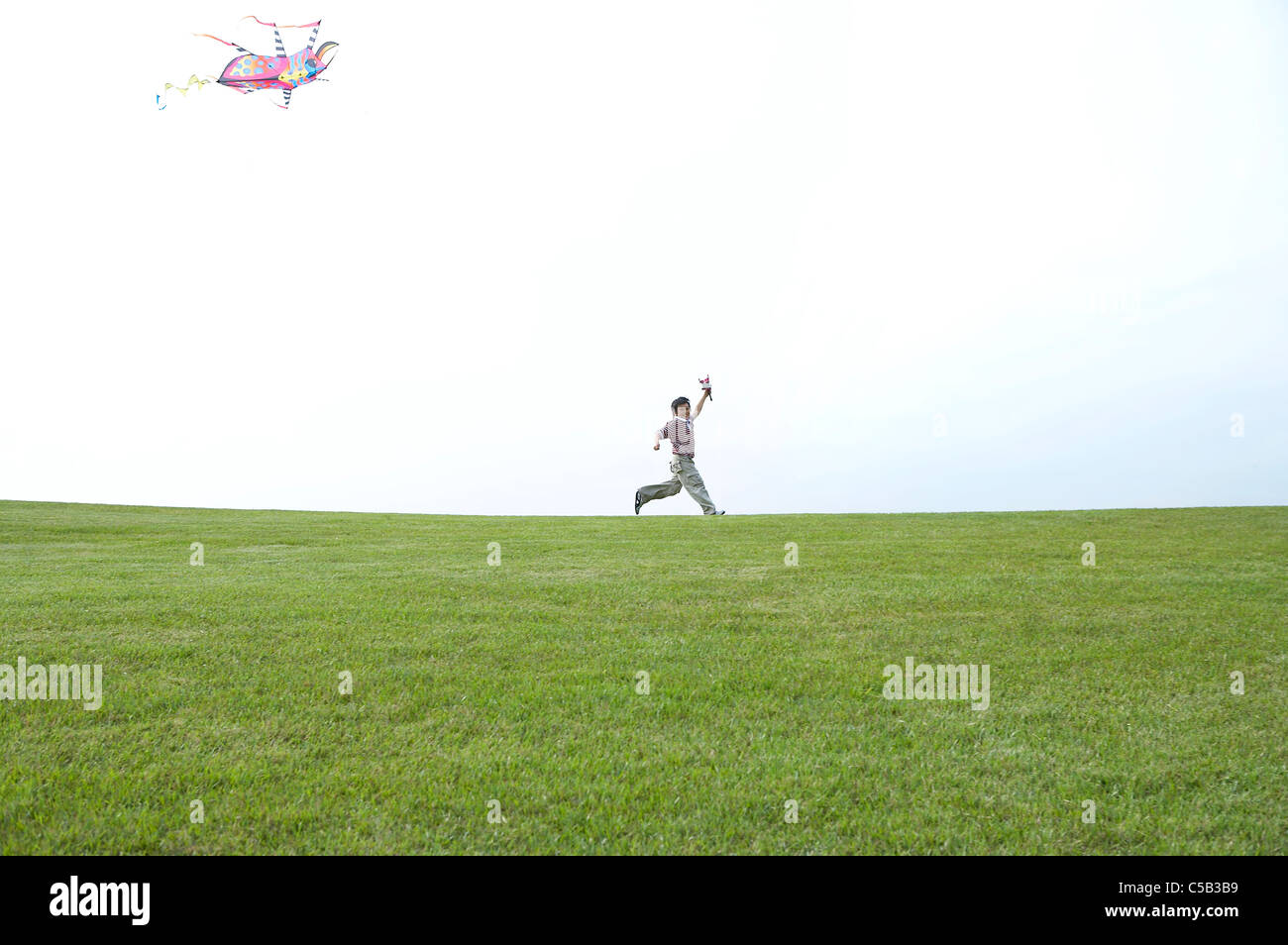 Side view of boy flying kite on lawn Stock Photo - Alamy