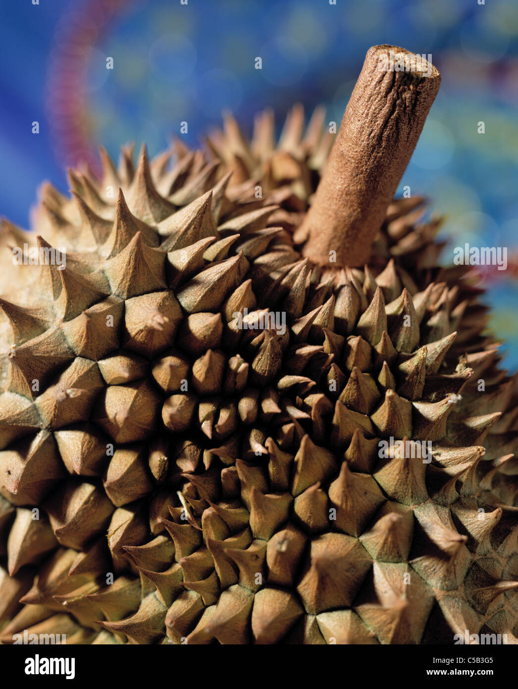 Durian recipe hi-res stock photography and images - Alamy