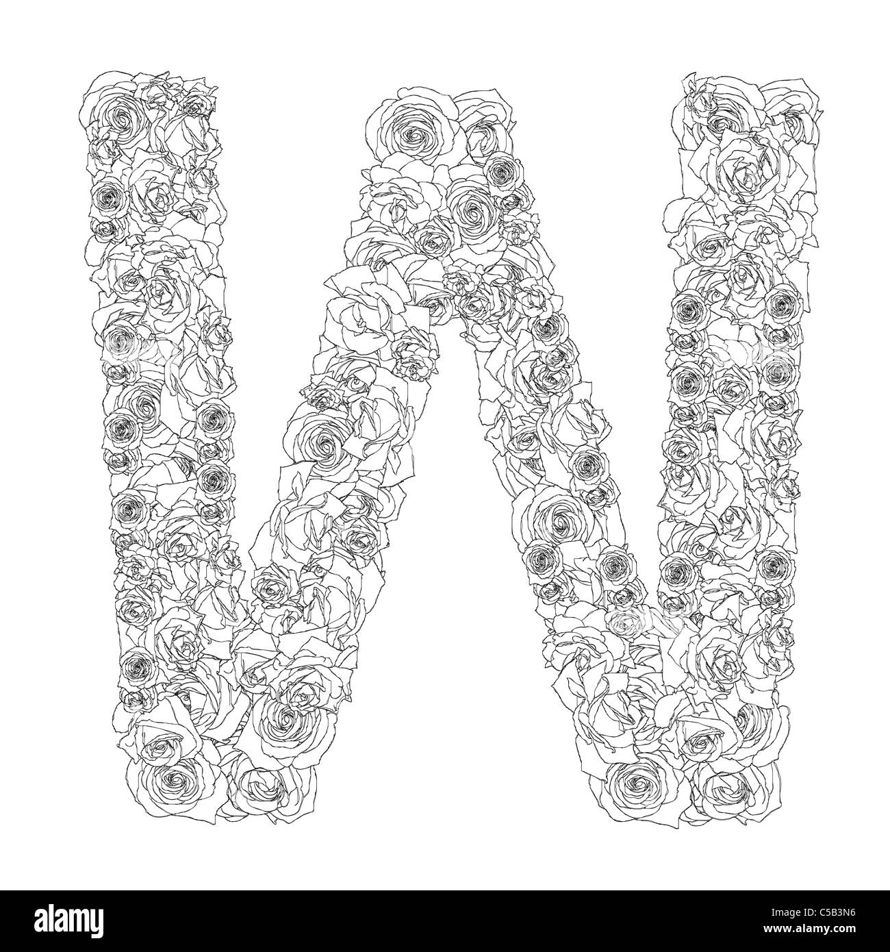 Type roses Black and White Stock Photos & Images - Alamy