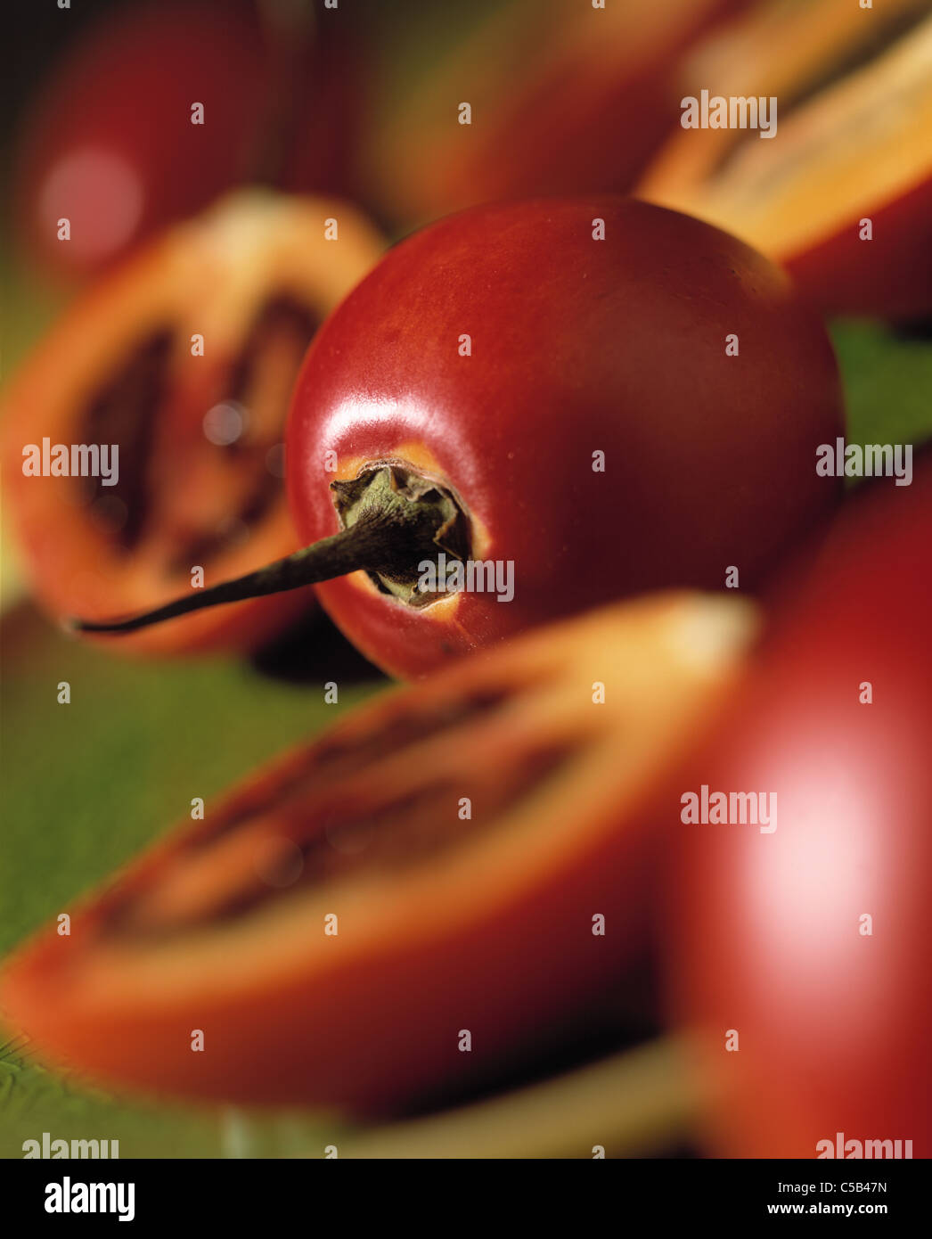 Tamarillo tree hi-res stock photography and images - Alamy