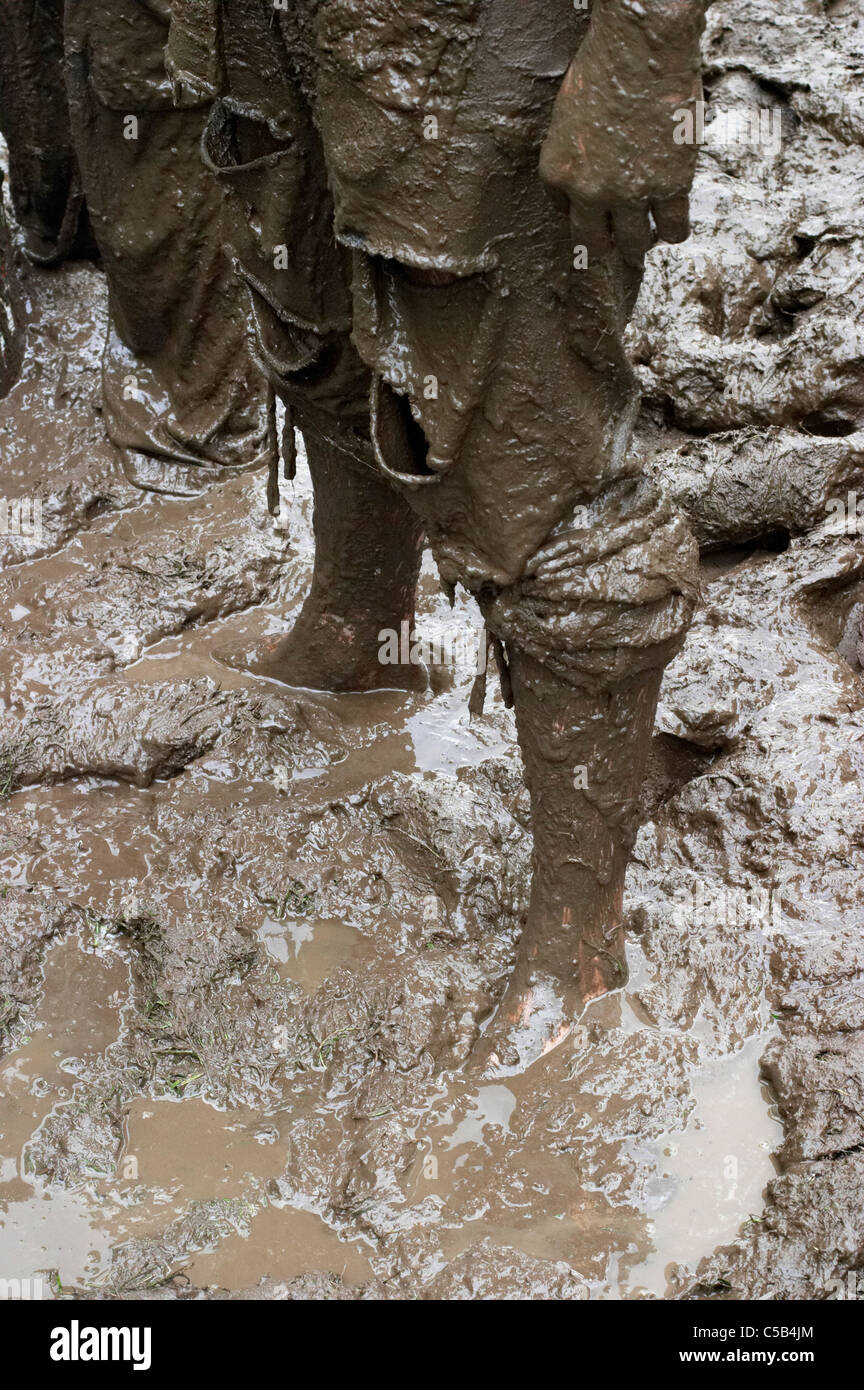 Standing rain water is covered hi-res stock photography and images - Alamy