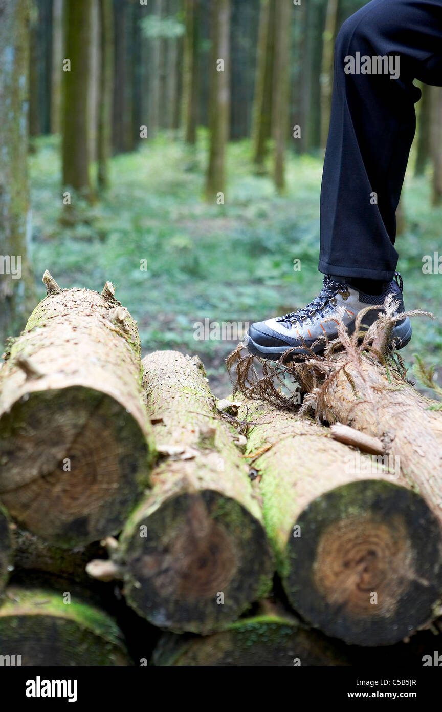 Close-up of person's leg on log Stock Photo - Alamy