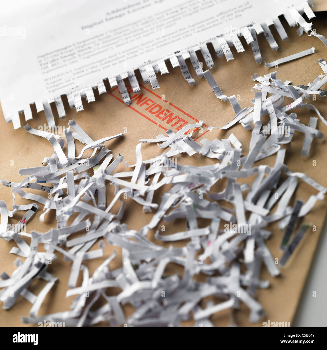 Close-up of paper strip on document Stock Photo - Alamy
